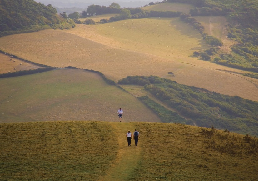 Dorset & The New Forest | The UK | Walking holidays | The Carter Company